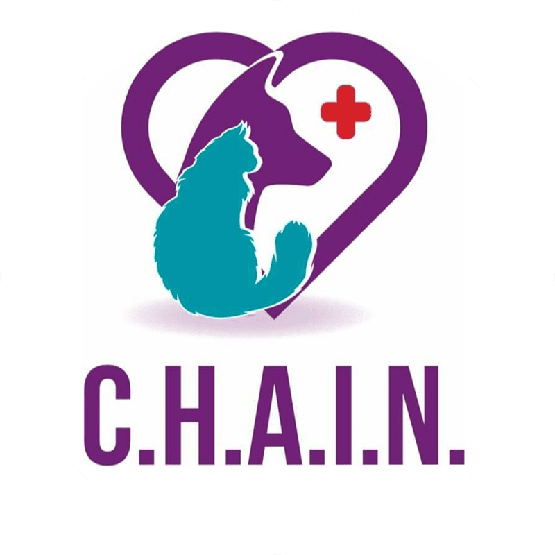 Rescue Work | Procyon Training