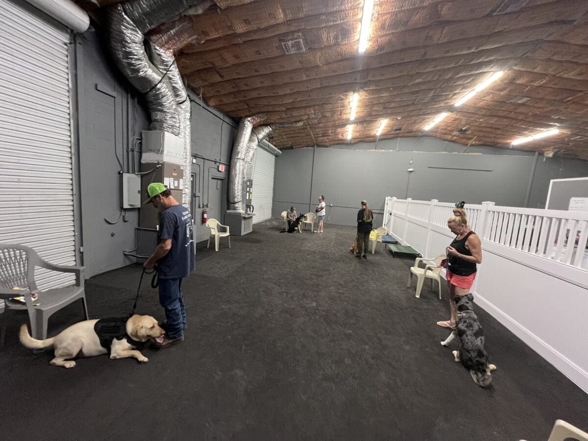 Level 1 Basic Dog Obedience Archives | Procyon Training