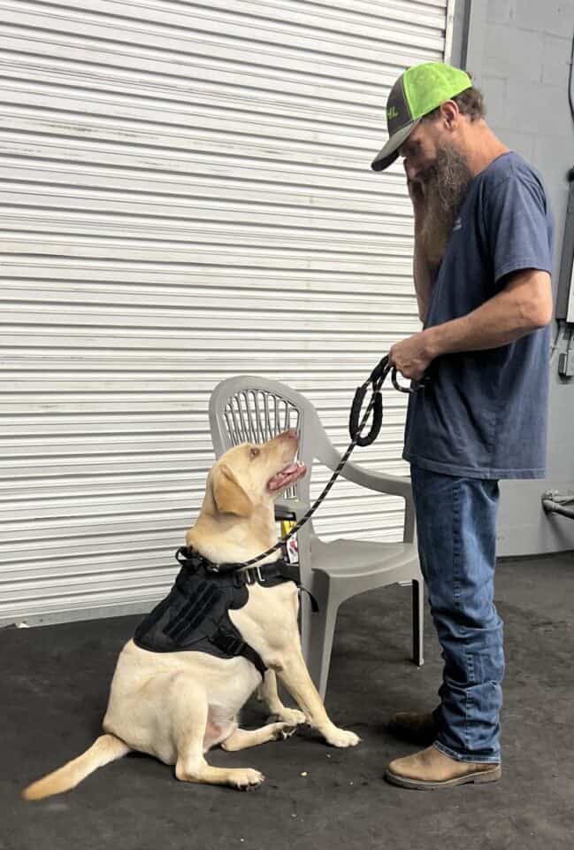 Level 1 Basic Dog Obedience Archives | Procyon Training