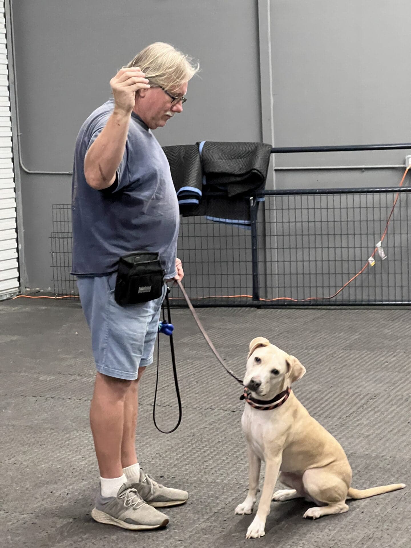 Level 1 Basic Dog Obedience Archives | Procyon Training