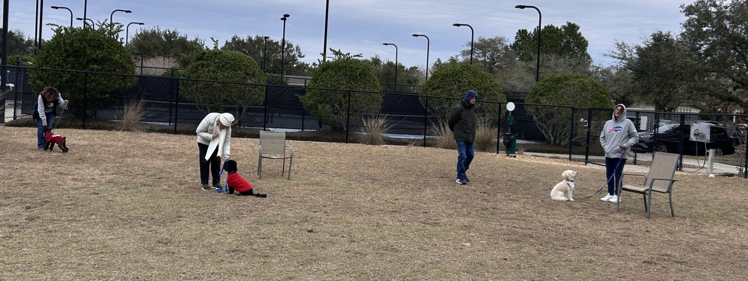 Level 1 Basic Dog Obedience Archives | Procyon Training